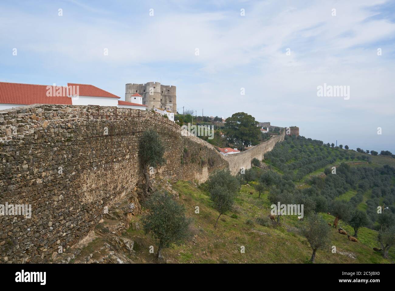 Evoramonte city castle wall historic buildings and olive trees park in ...