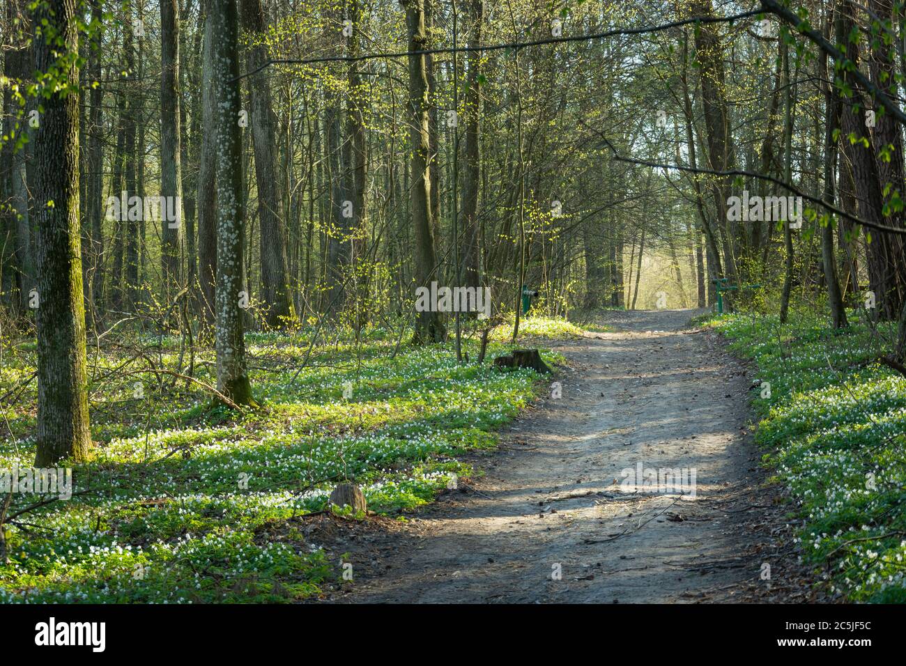 Spring season ground hi-res stock photography and images - Alamy