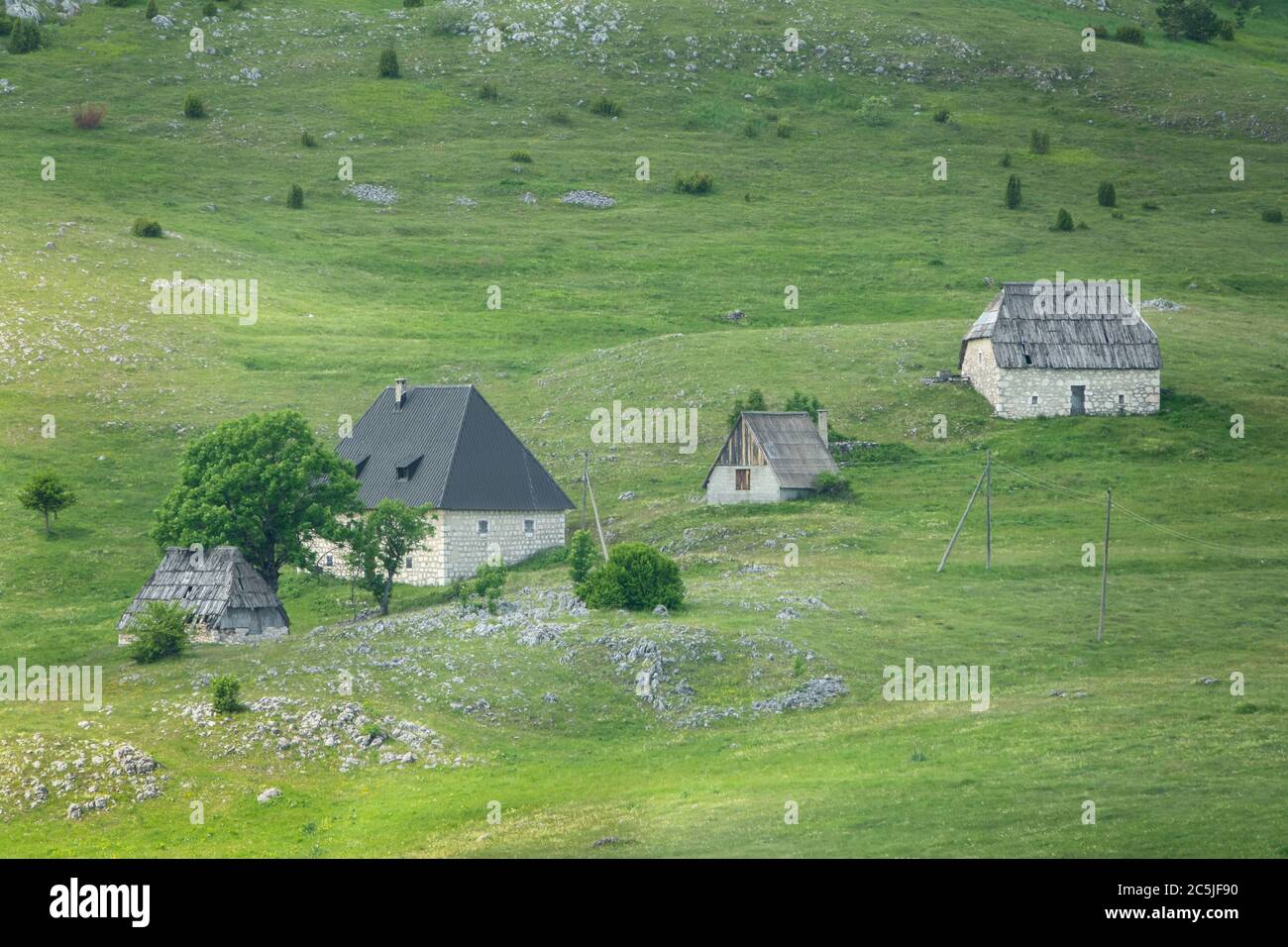 Green meadow in durmitor hi-res stock photography and images - Alamy