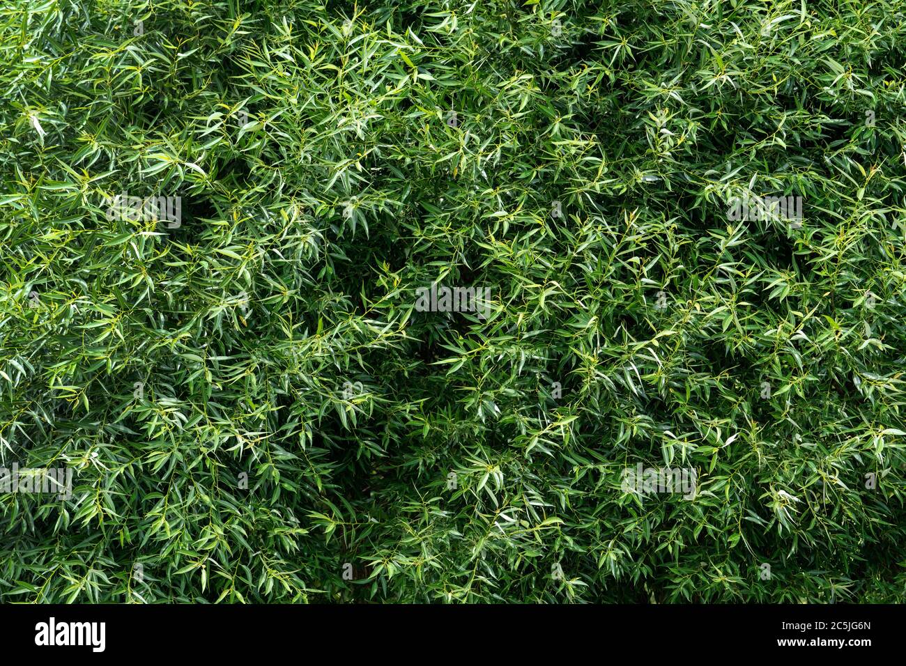 Uniform texture hi-res stock photography and images - Alamy