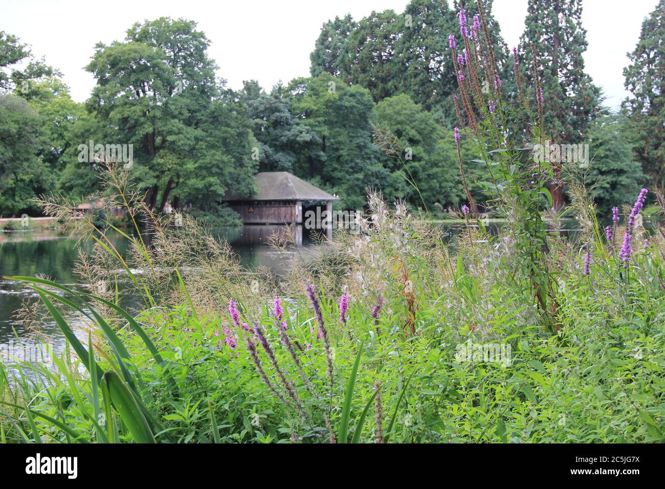 Tredegar House and CountryPark Stock Photo - Alamy