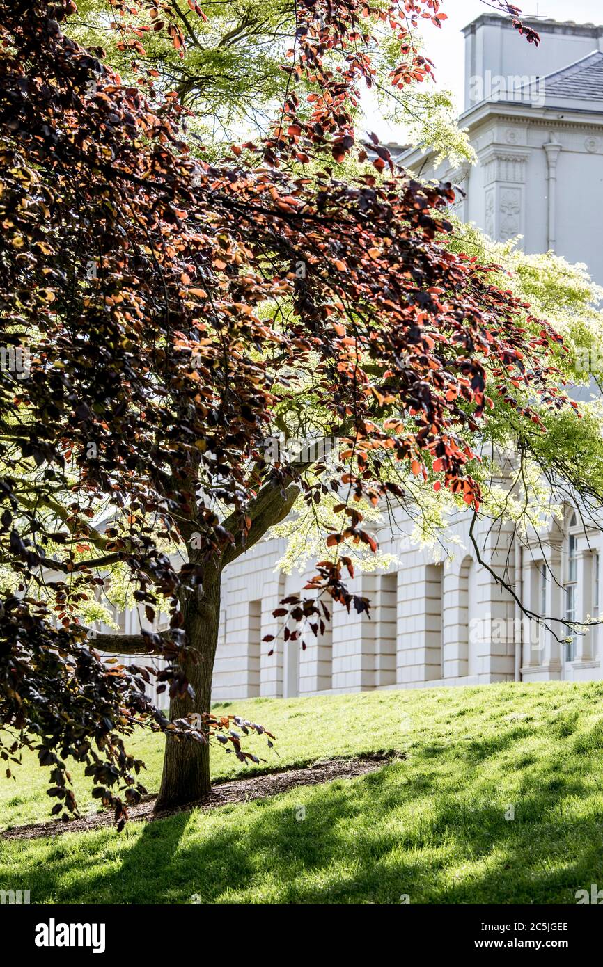 Recreation outside houses hi-res stock photography and images - Alamy