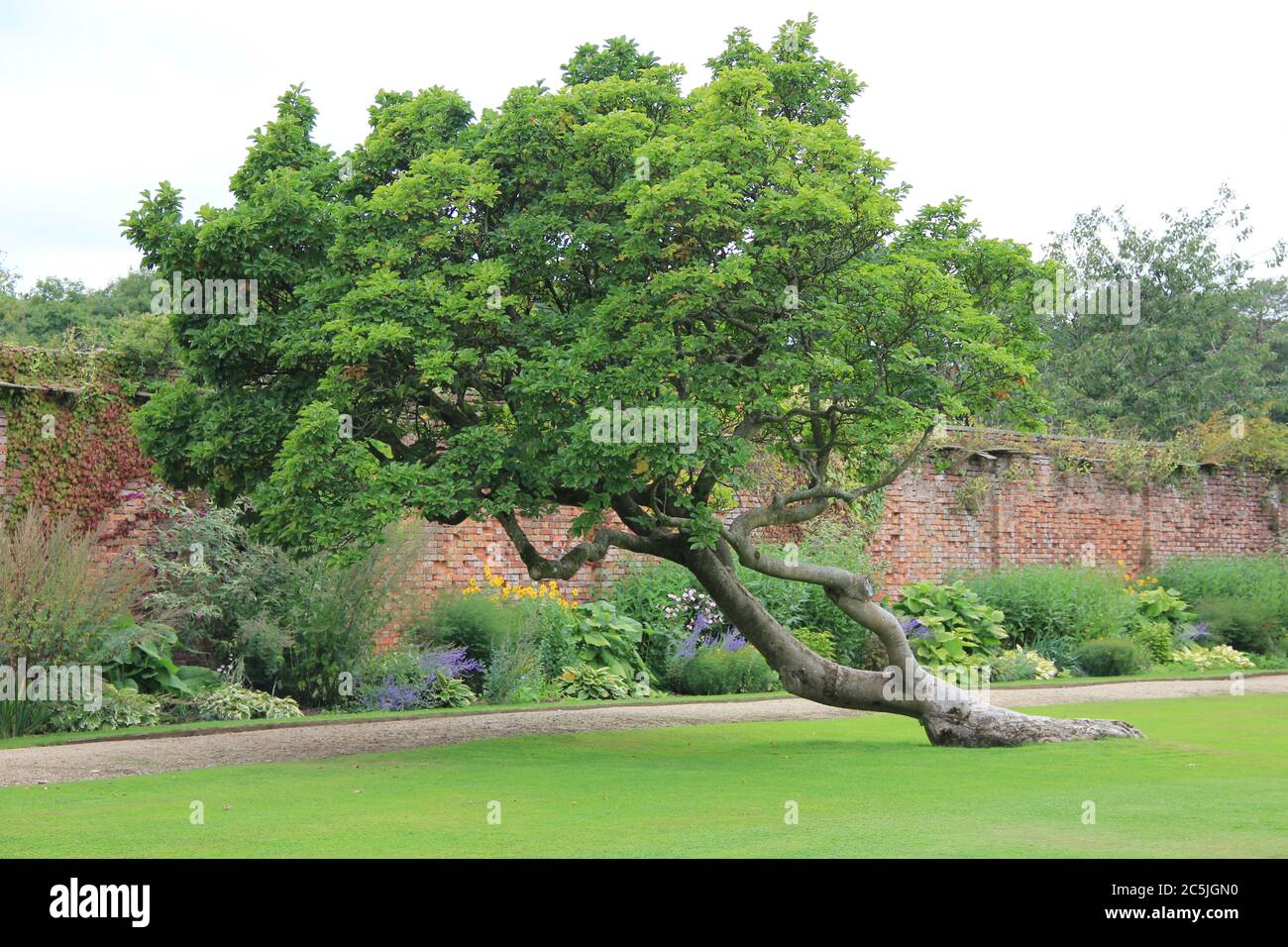 Tredegar house country park newport hi-res stock photography and images ...