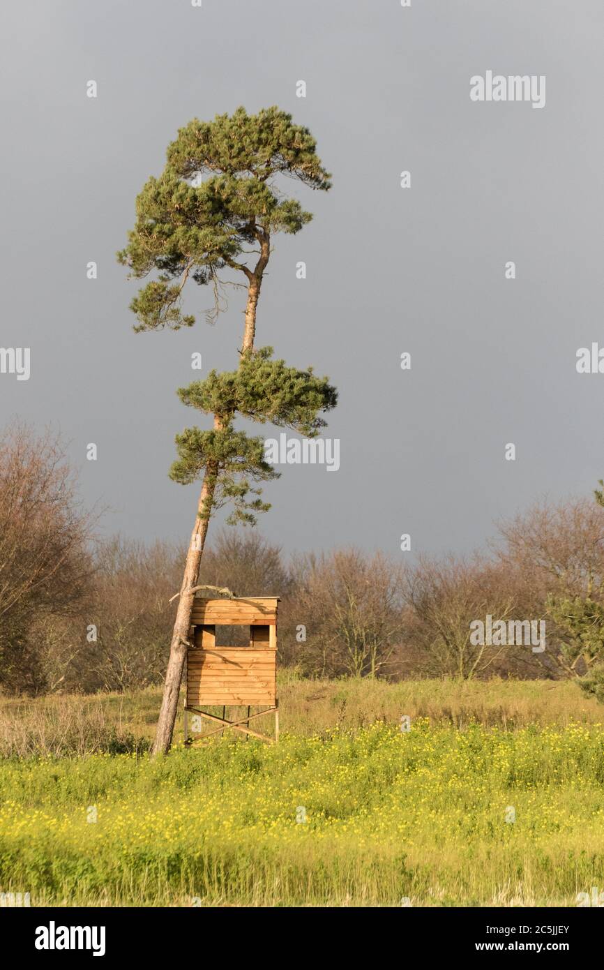 Hunting box hi-res stock photography and images - Alamy