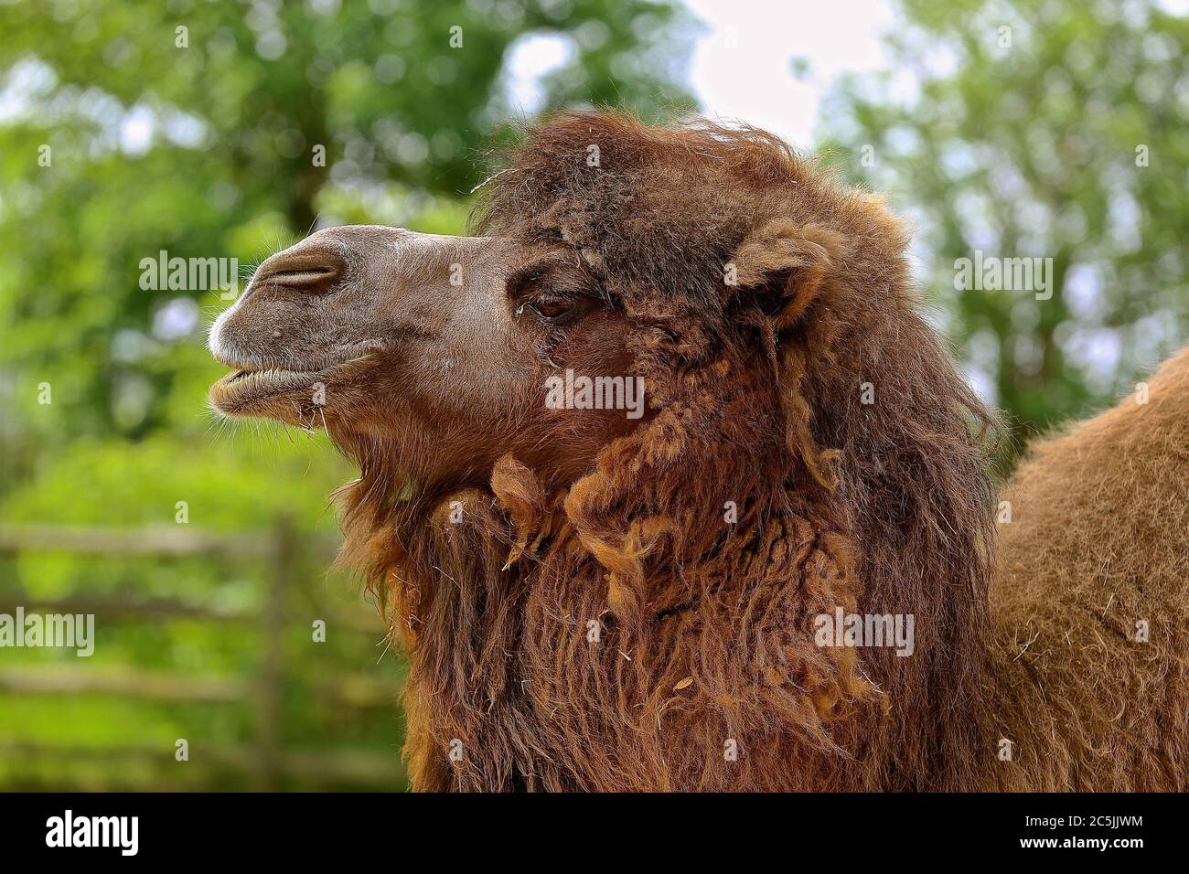 Worlds oldest scientific zoo hi-res stock photography and images - Alamy