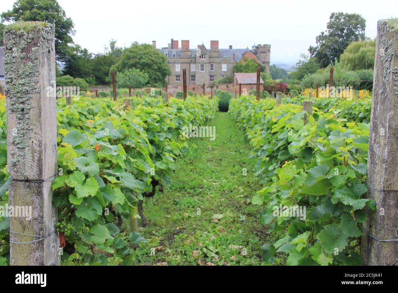 Croft Castle and Parkland in Croft, England Stock Photo - Alamy