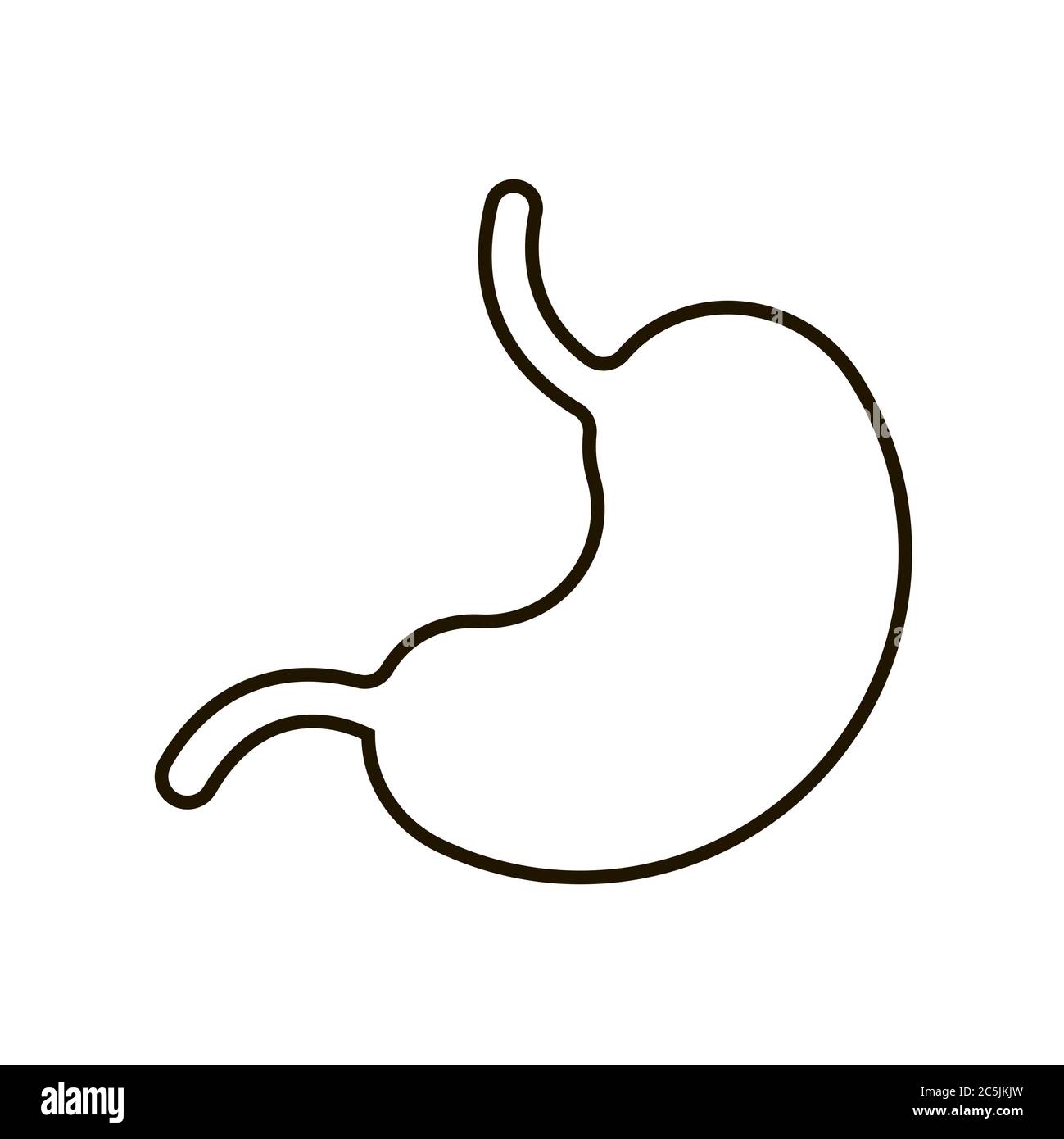 Kidneys outline hi-res stock photography and images - Alamy