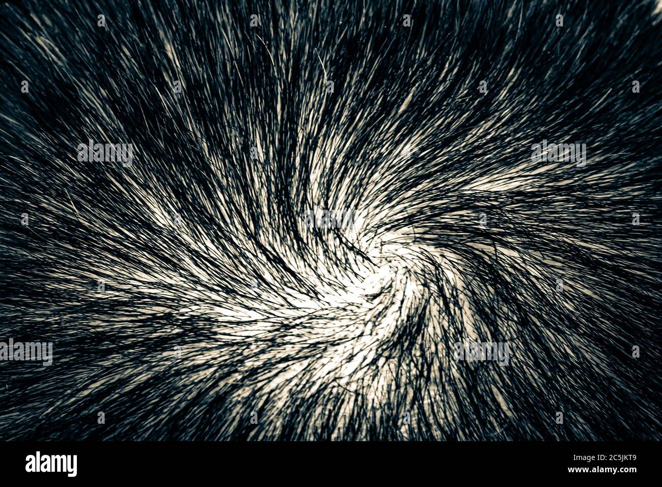 Human skin texture dark hi-res stock photography and images - Alamy