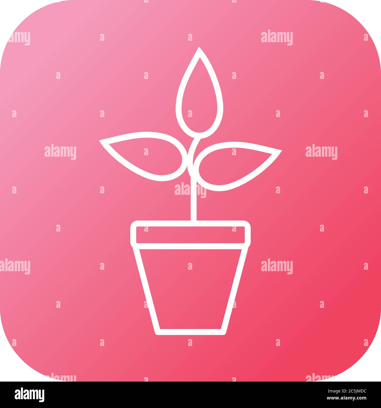 Unique Successful Growth Vector Line Icon Stock Vector Image & Art - Alamy