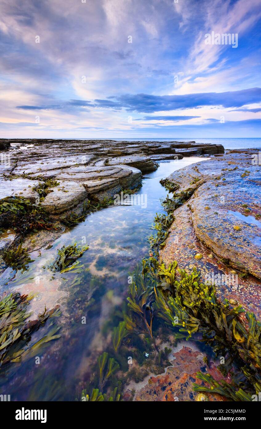 Sunset at Seaton Sluice a small stream runs between two plateaus of ...