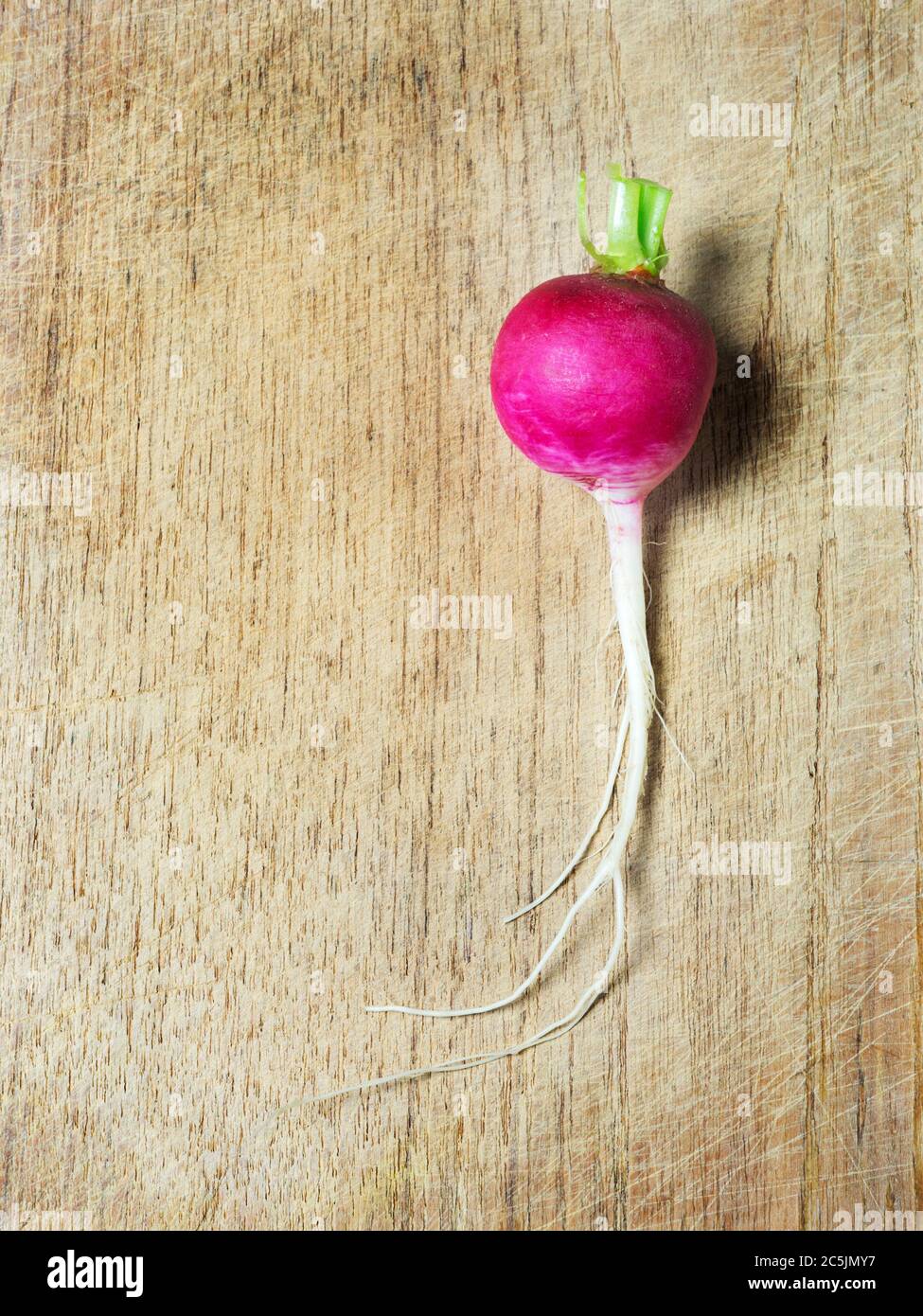 Globe shaped radish hi-res stock photography and images - Alamy