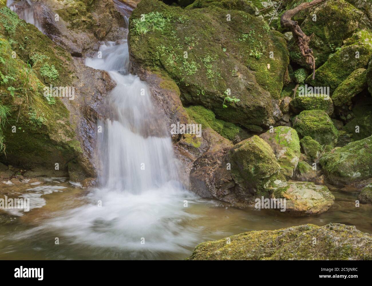 Arcopark rio centa hi-res stock photography and images - Alamy