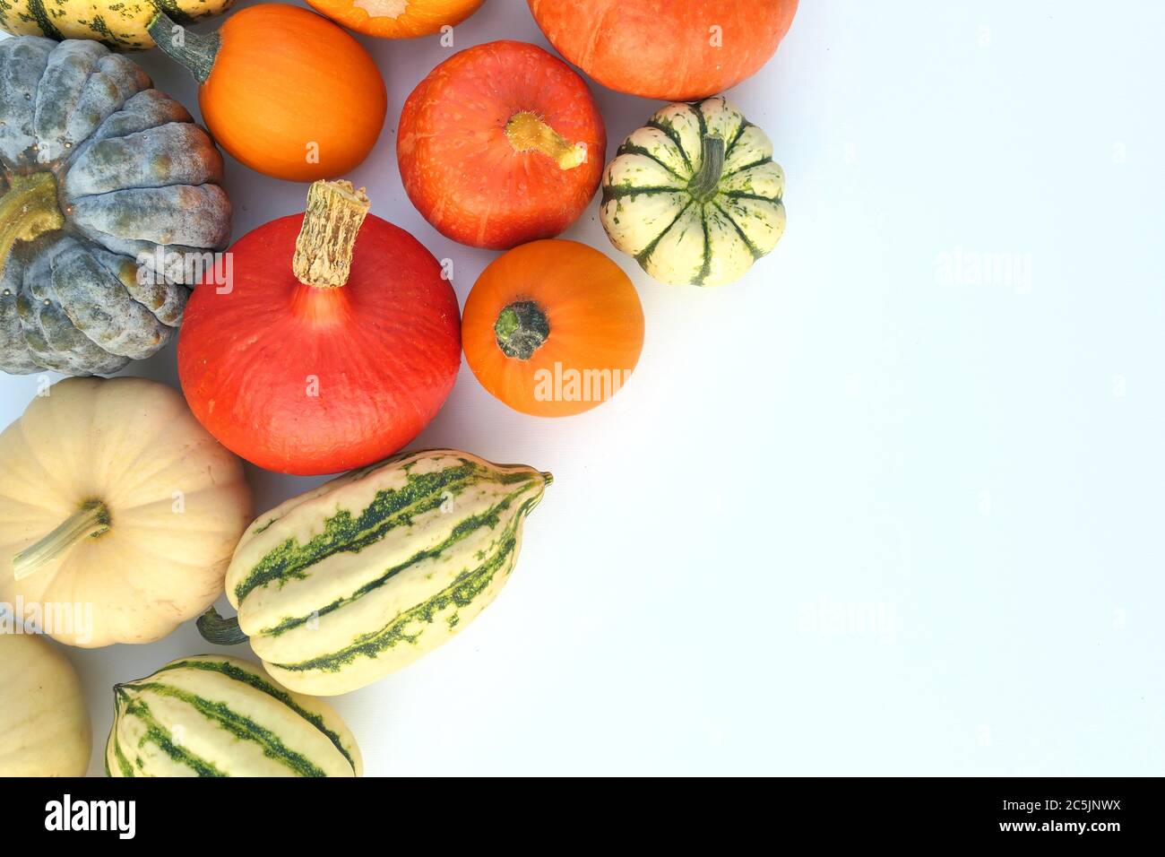 Pumpkins and squashes varieties food background Stock Photo - Alamy