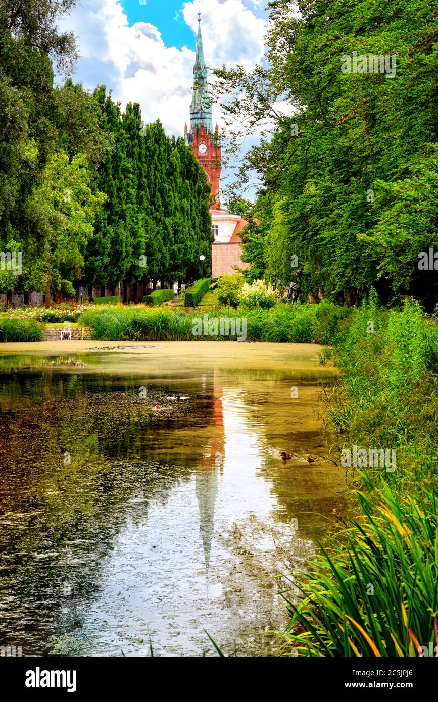 City park in Bernau near Berlin. The park area with many old trees ...