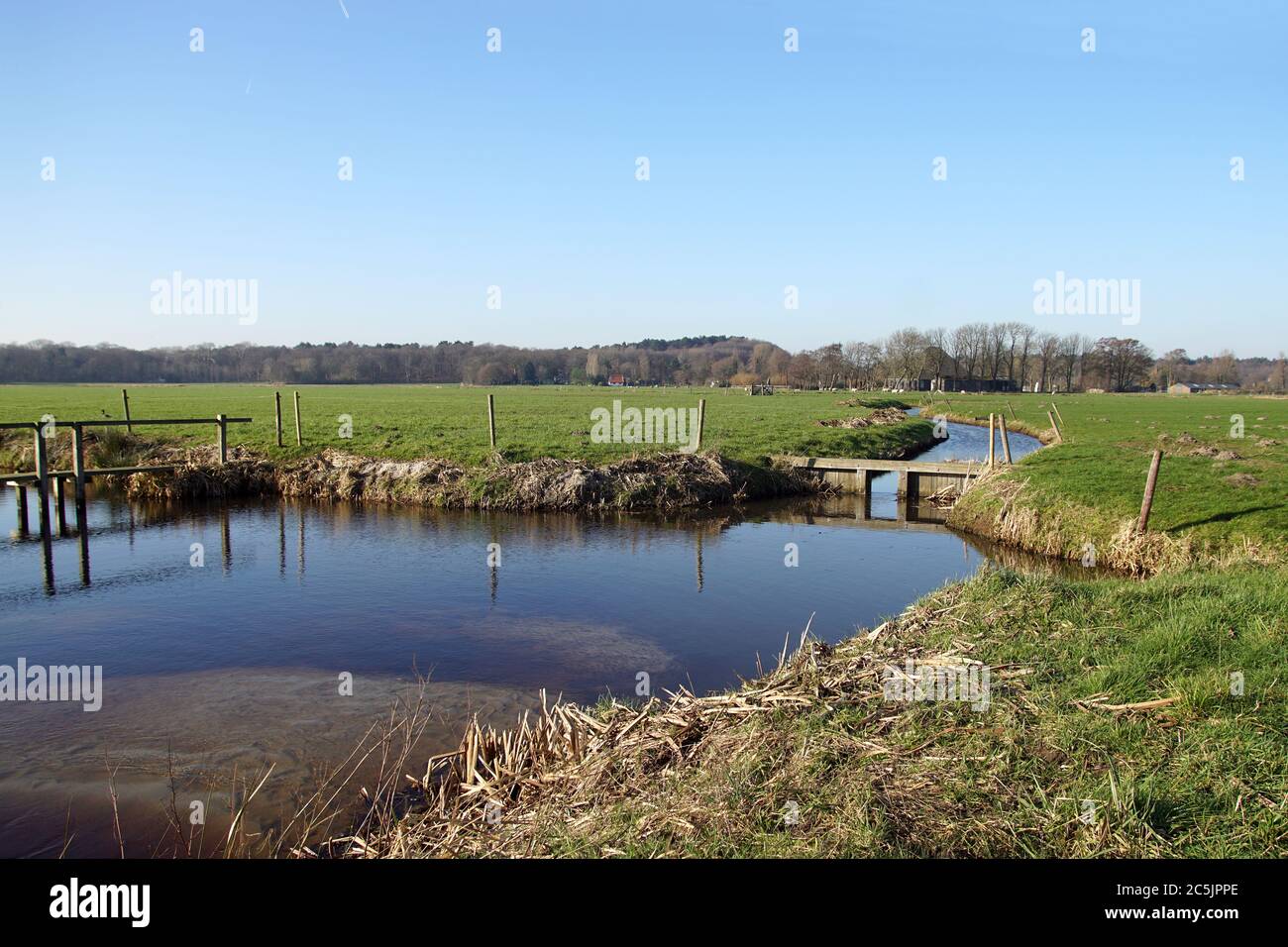 Pasture landscape in winter in North Holland near Bergen. Meadows ...