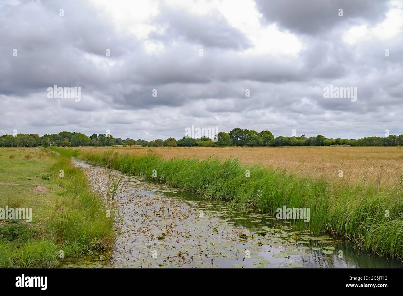 3 Small drainage dyke running through Potter Heigham marshes in rural ...