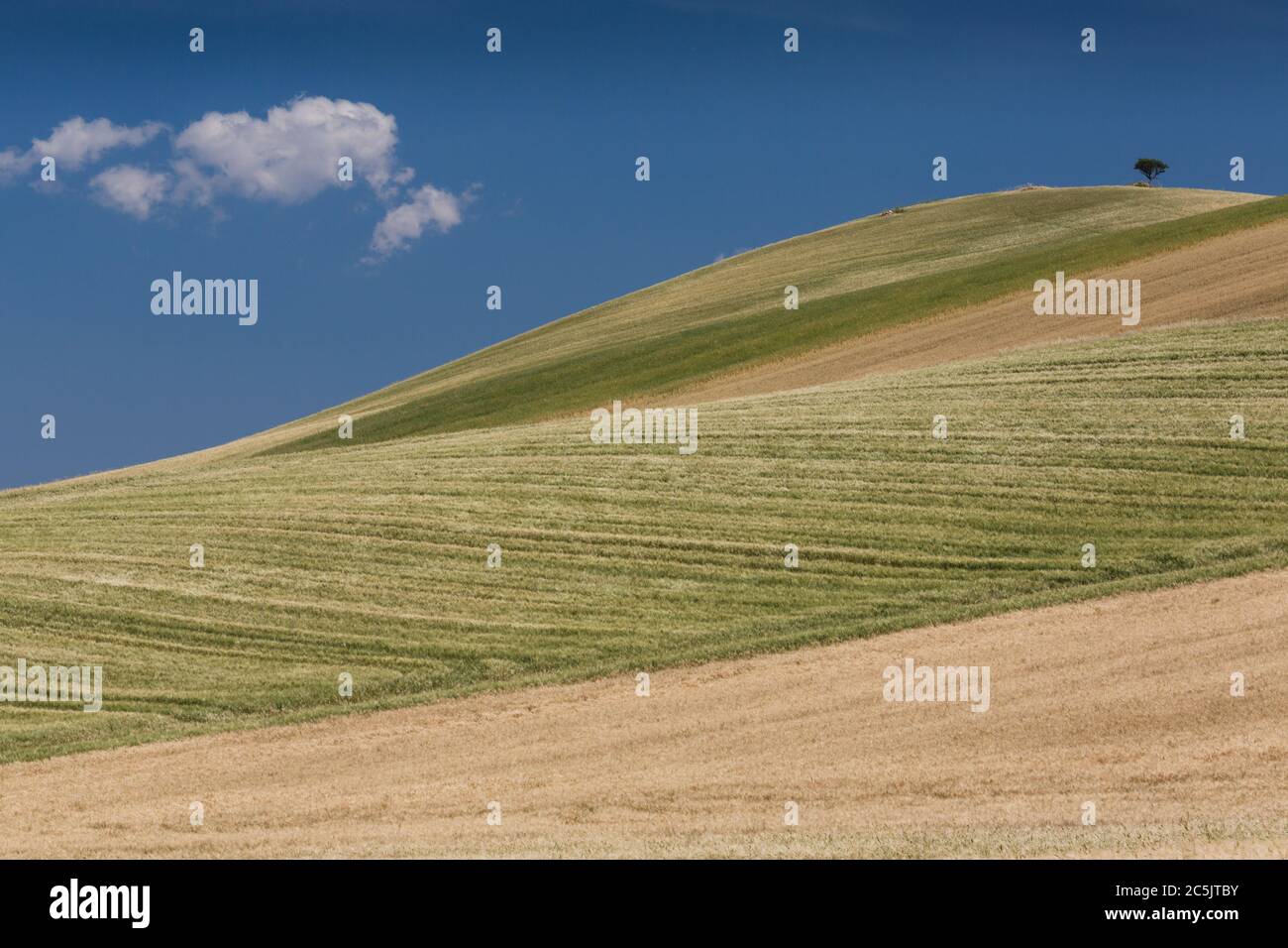 Landscape of Alta murgia national park, Apulia region Stock Photo - Alamy