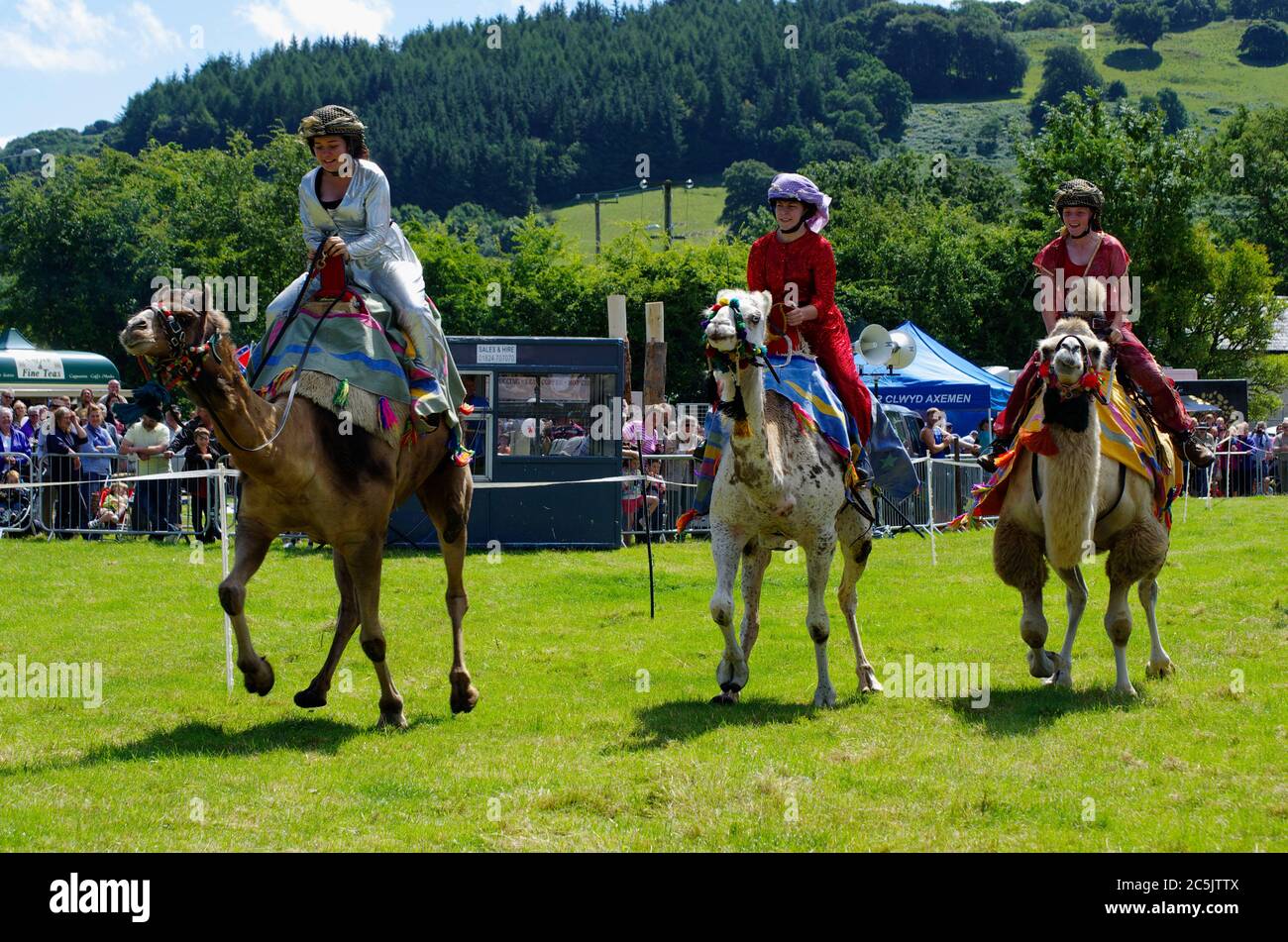 Camel racing hi-res stock photography and images - Alamy
