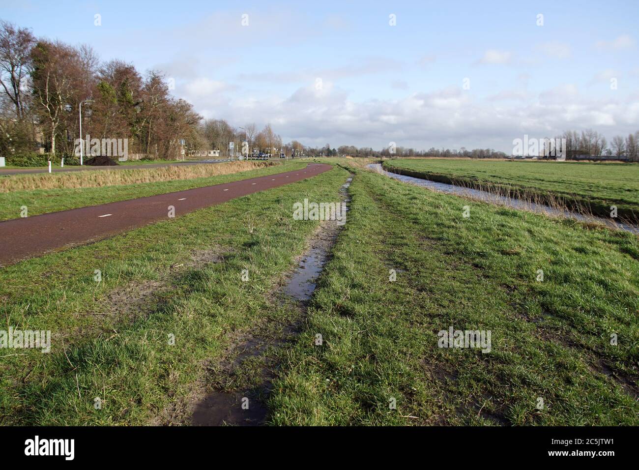 Pasture landscape. Road, cycle path and a roadside. Wheel tracks on the ...