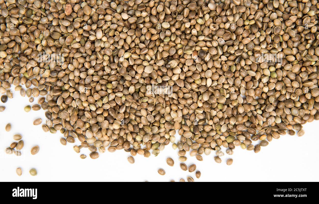 Hemp seed background with white copy space. Natural texture in macro ...