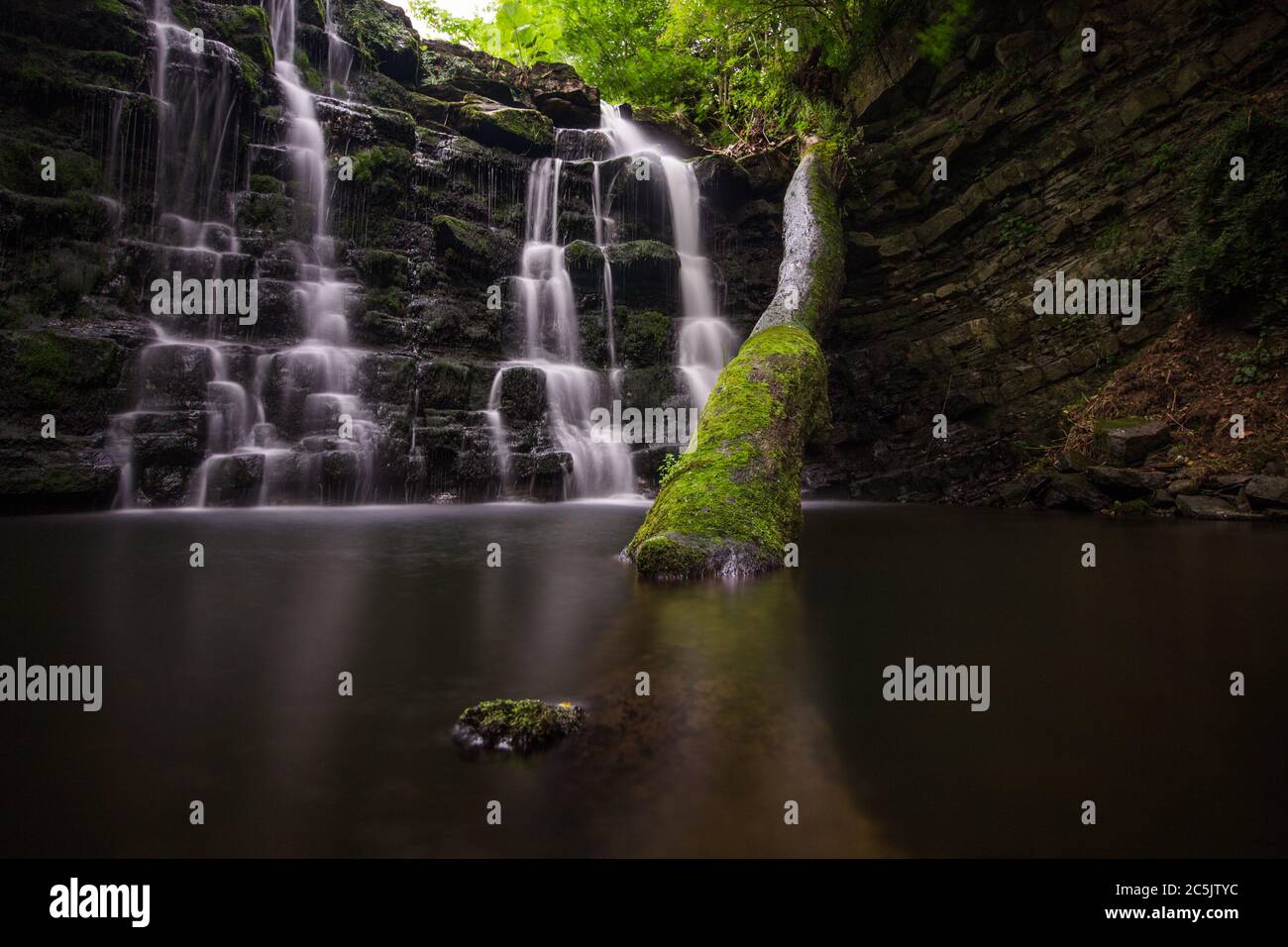 Trickling creek hi-res stock photography and images - Alamy