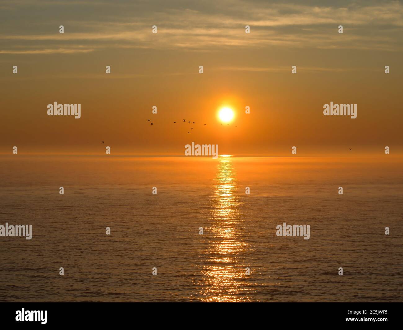 Reflection of birds hi-res stock photography and images - Alamy