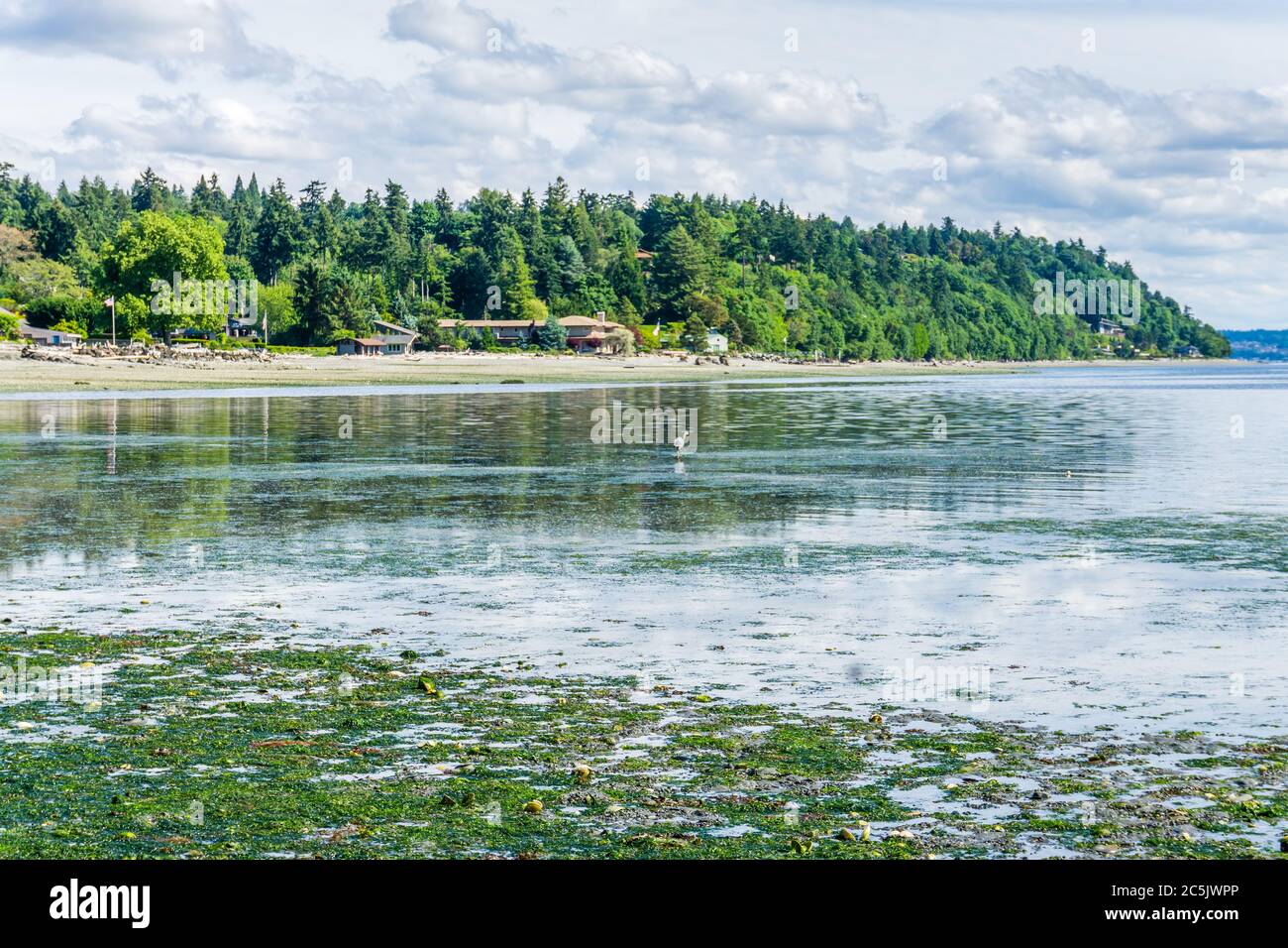 The water of the Puget Sound is low in Normandy Park, Washington Stock ...