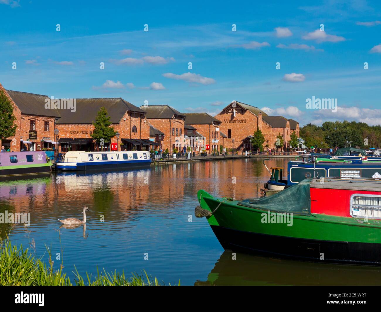 Needwood forest hi-res stock photography and images - Alamy