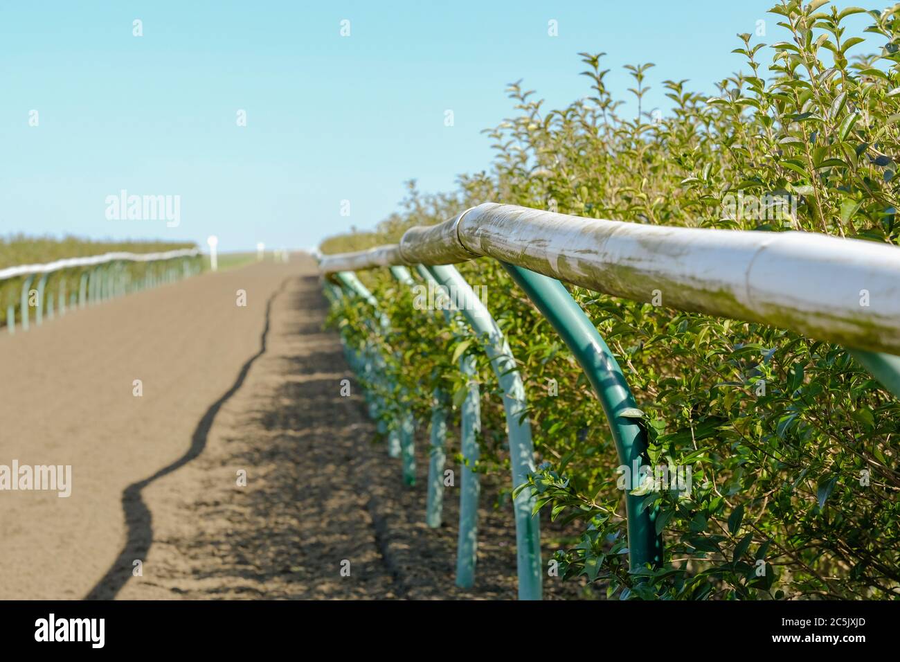 Chester racing jockey hi-res stock photography and images - Alamy