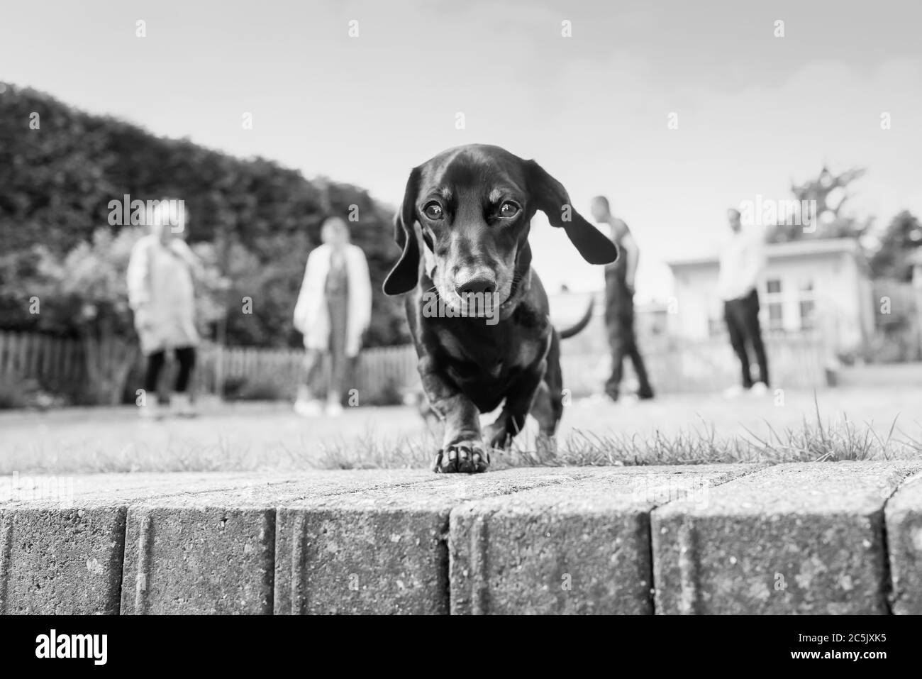 Eye Level View Photography