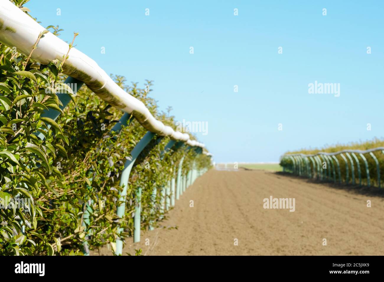 Chester racing jockey hi-res stock photography and images - Alamy