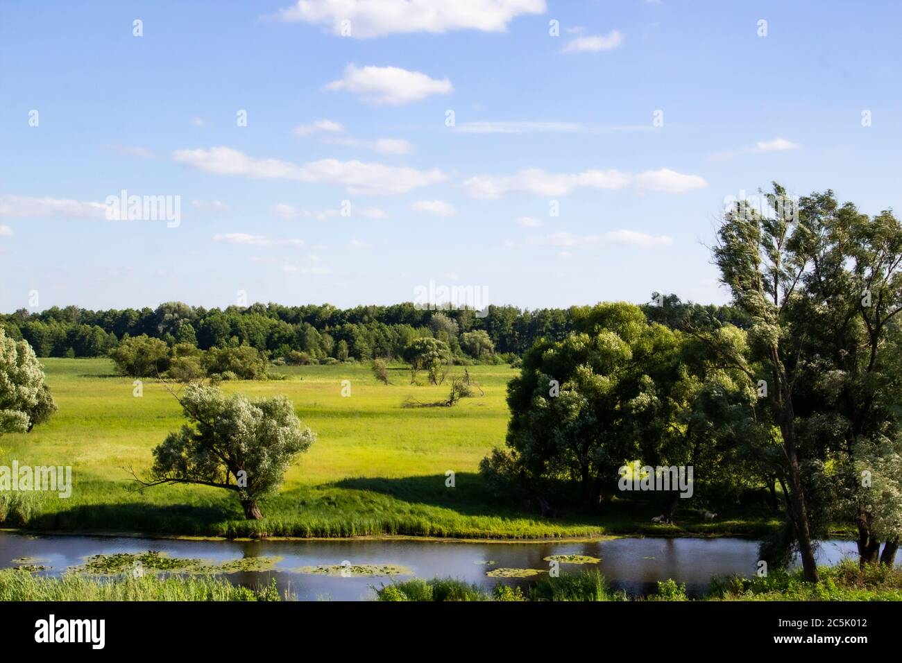 Ukrainian nature hi-res stock photography and images - Alamy