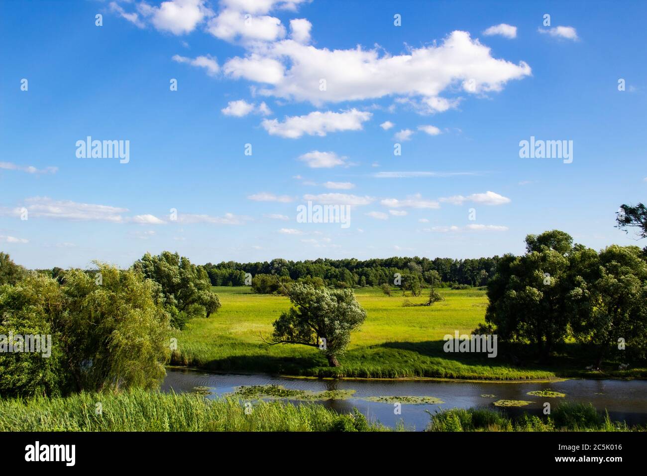 Amazing Ukrainian nature in the village Stock Photo - Alamy