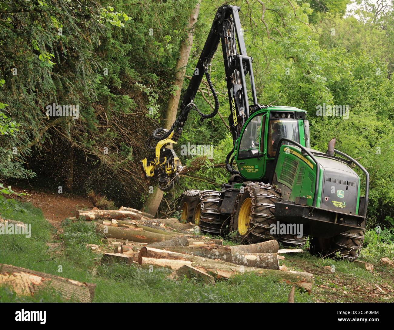 Logging machine at work in the Chiltern Hills in England Stock Photo ...