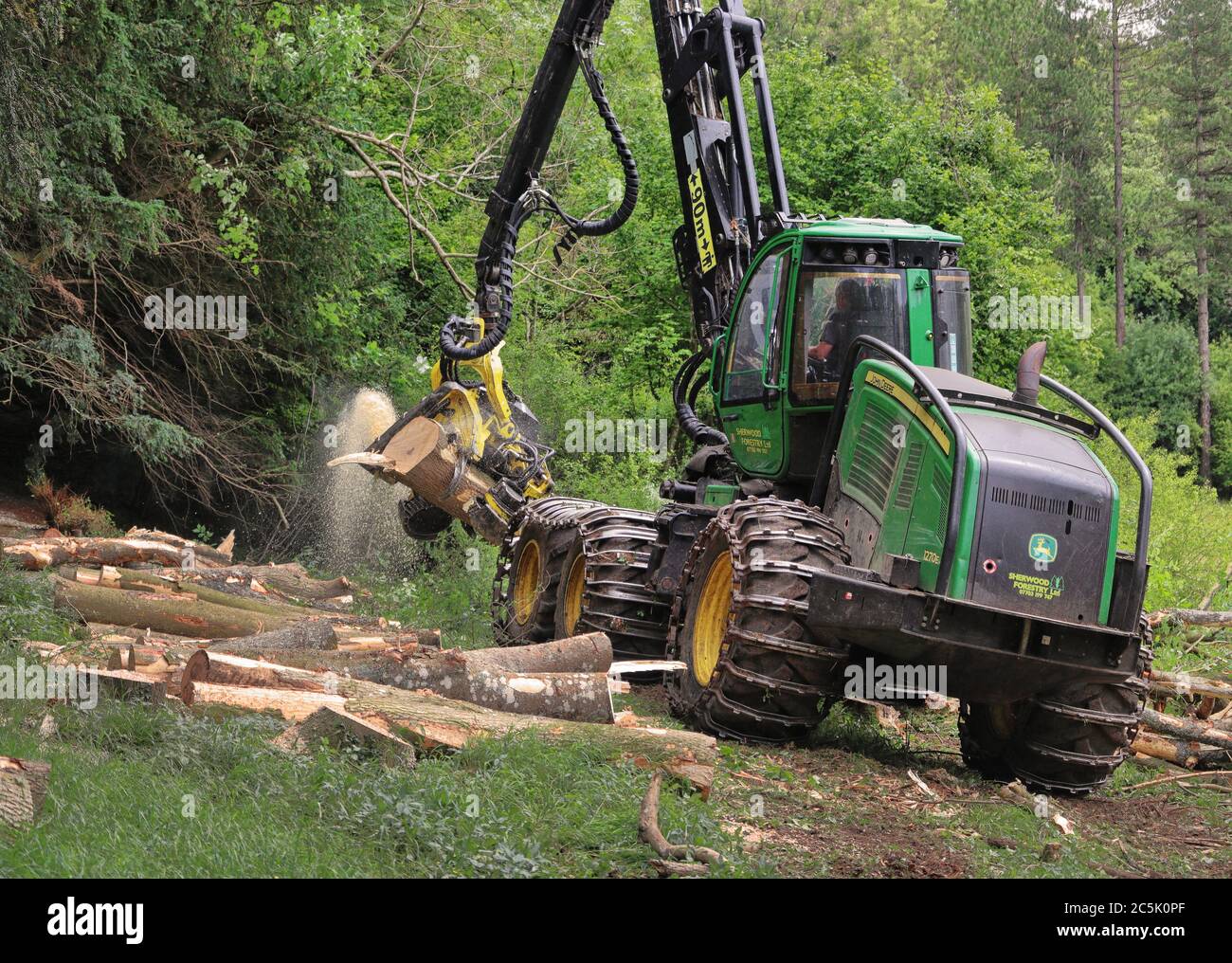 Logging machine at work in the Chiltern Hills in England Stock Photo ...