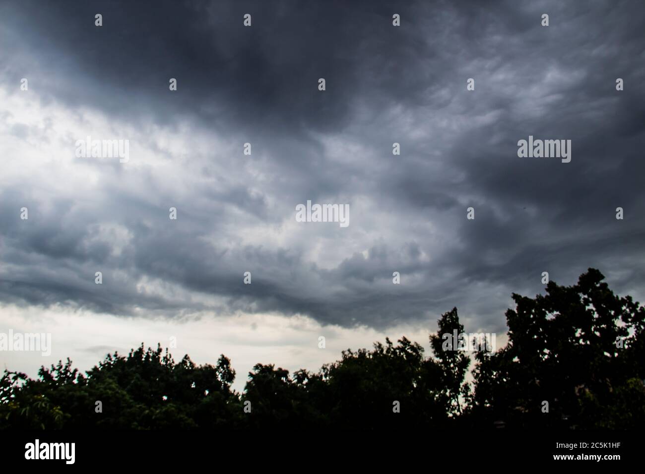 The storm is approaching. A gray sky above trees. Amazing views of clouds. Clouds background ...