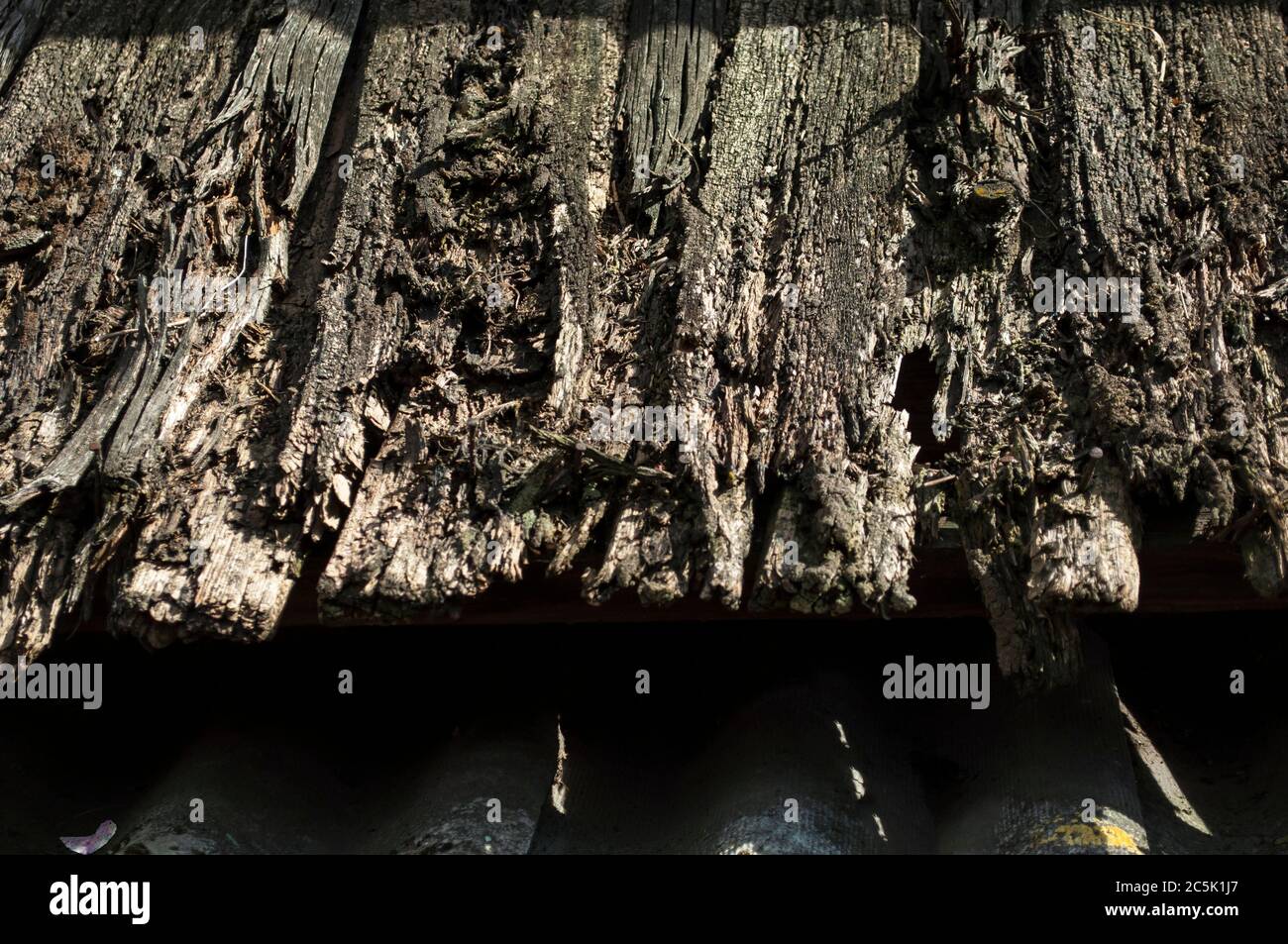 old rotten wooden roof on a sunny day, old damaged board, background ...