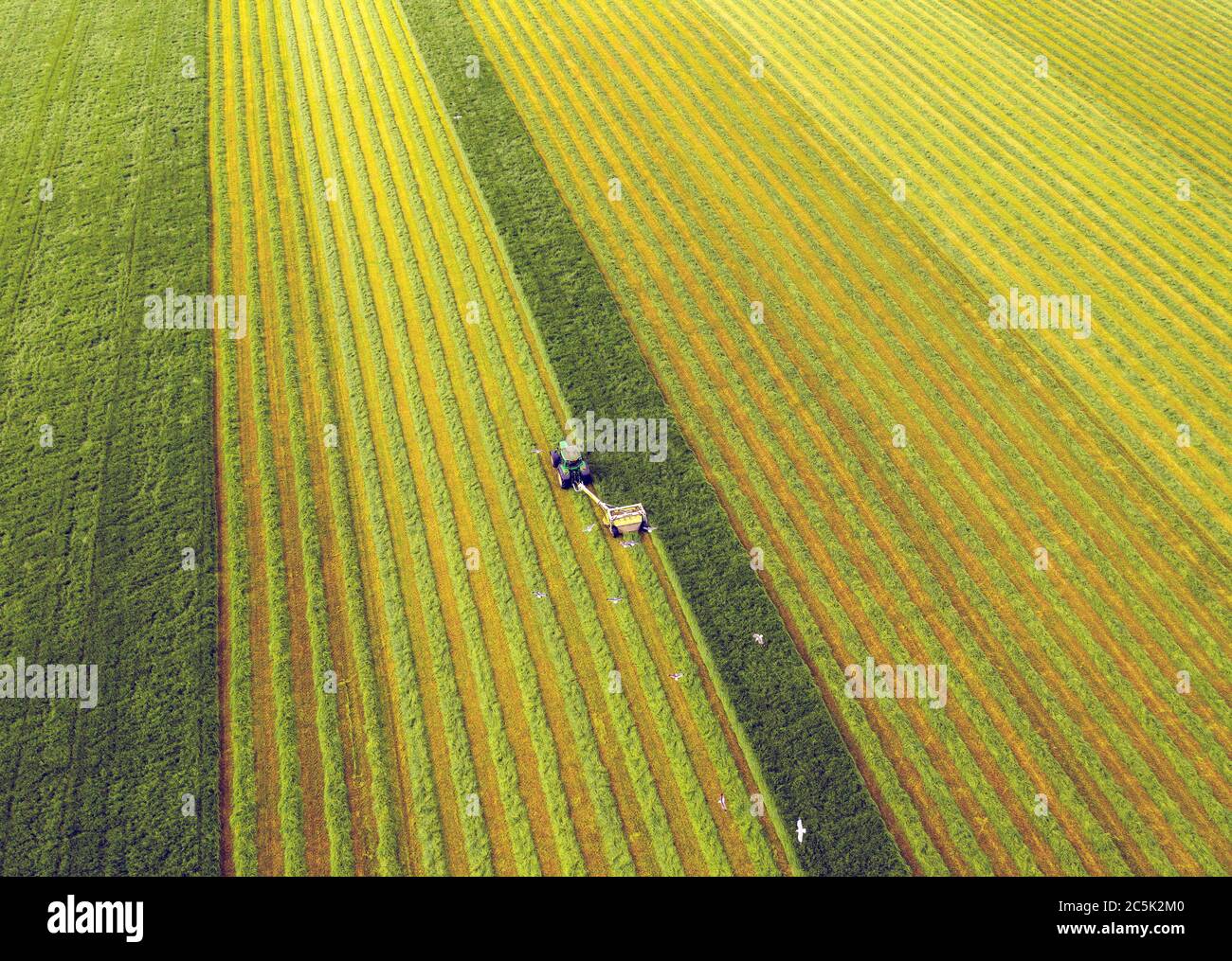 Silage cutting uk hi-res stock photography and images - Alamy