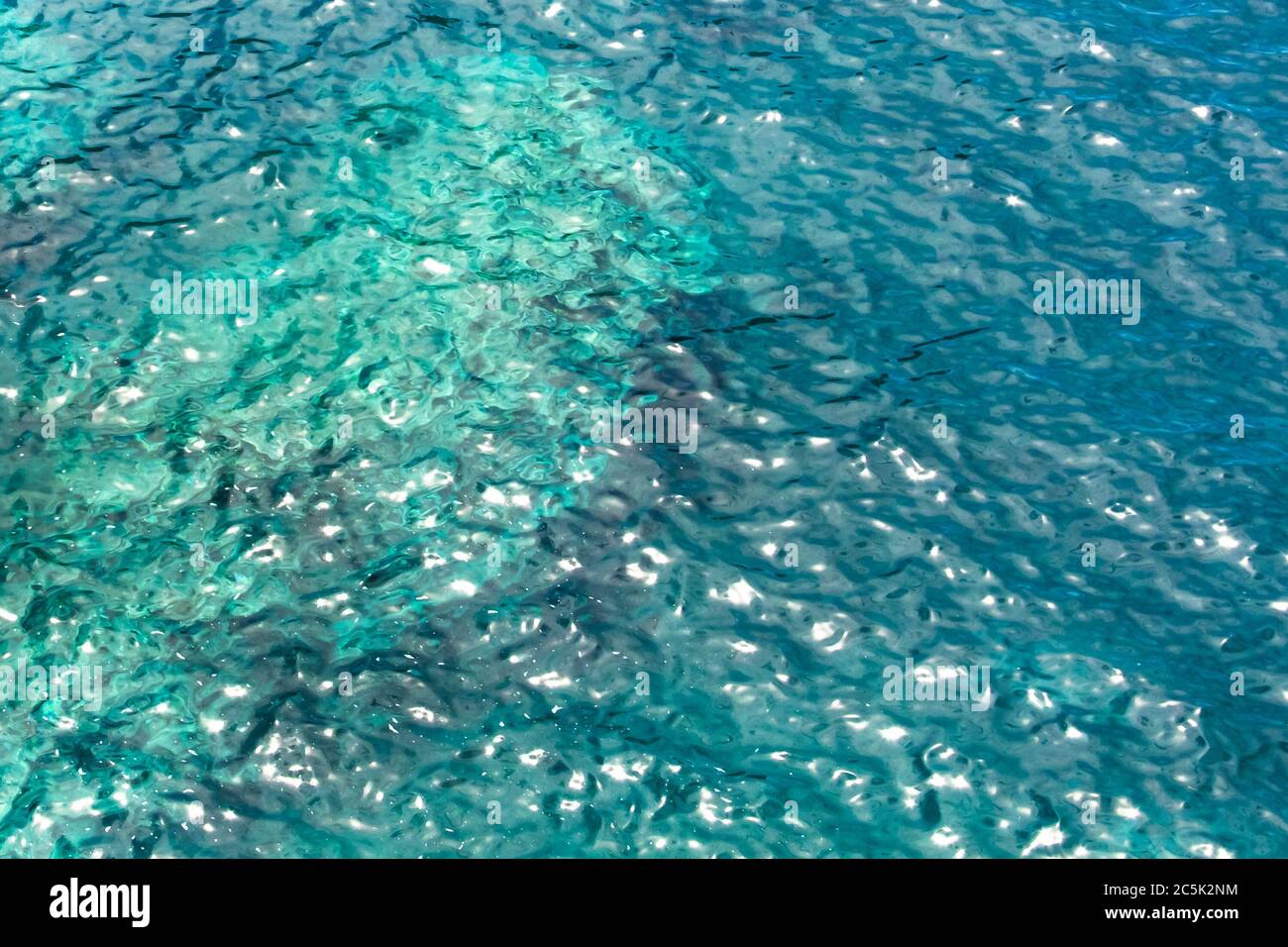 blue,aquamarine seawater, transparent, glowing water, background ...