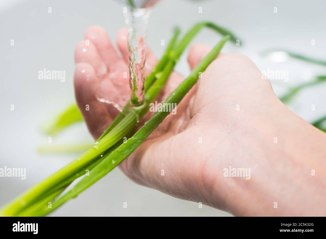 hands and green onions under running water. Washing greens. Girl washes ...
