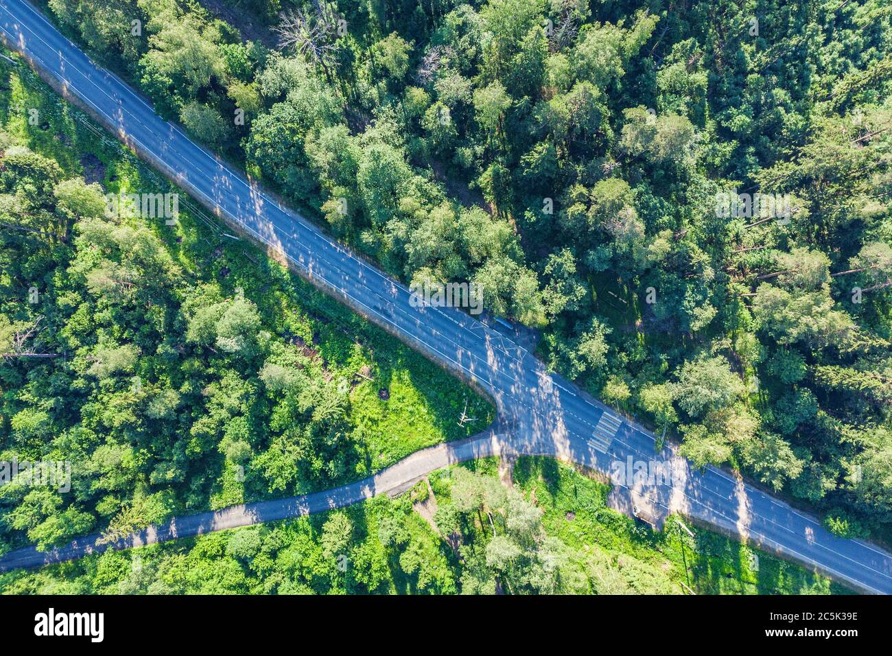 Green forest aerial drone view. Road in forest from above Stock Photo ...