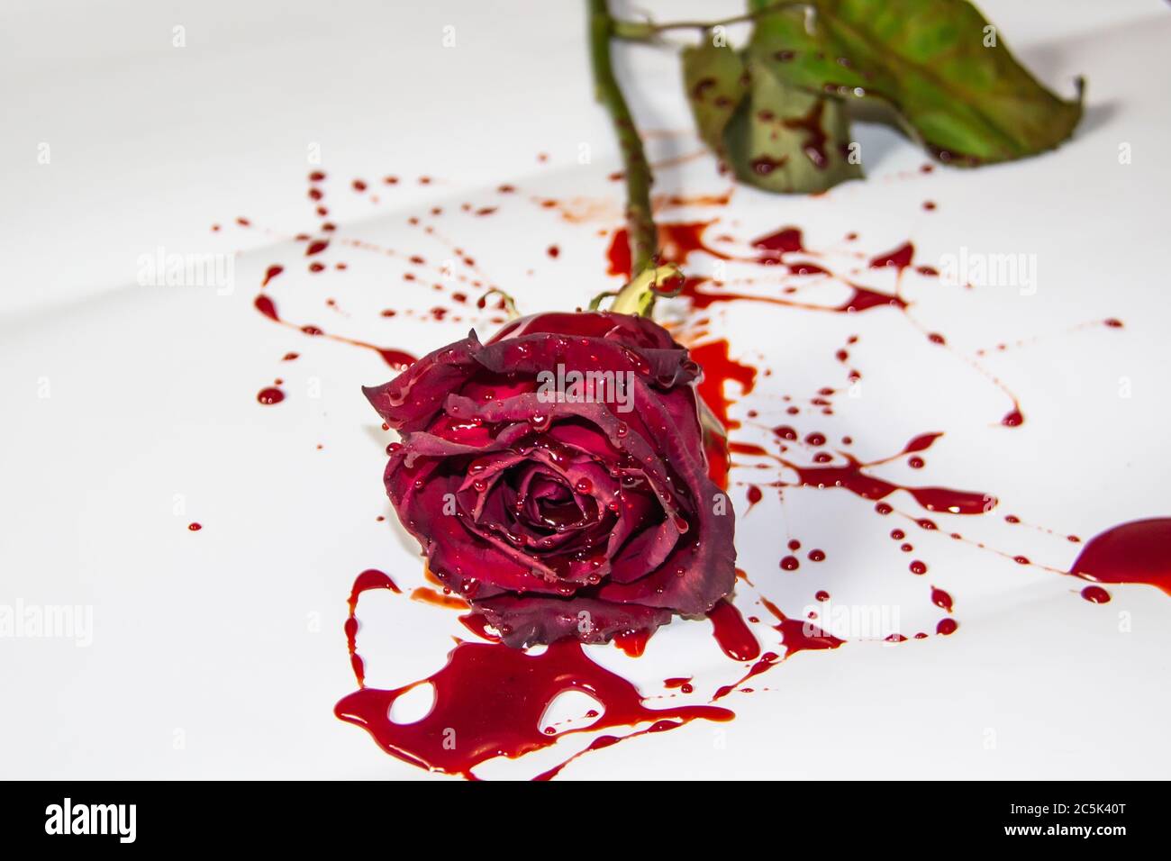 Bloody Rose Background