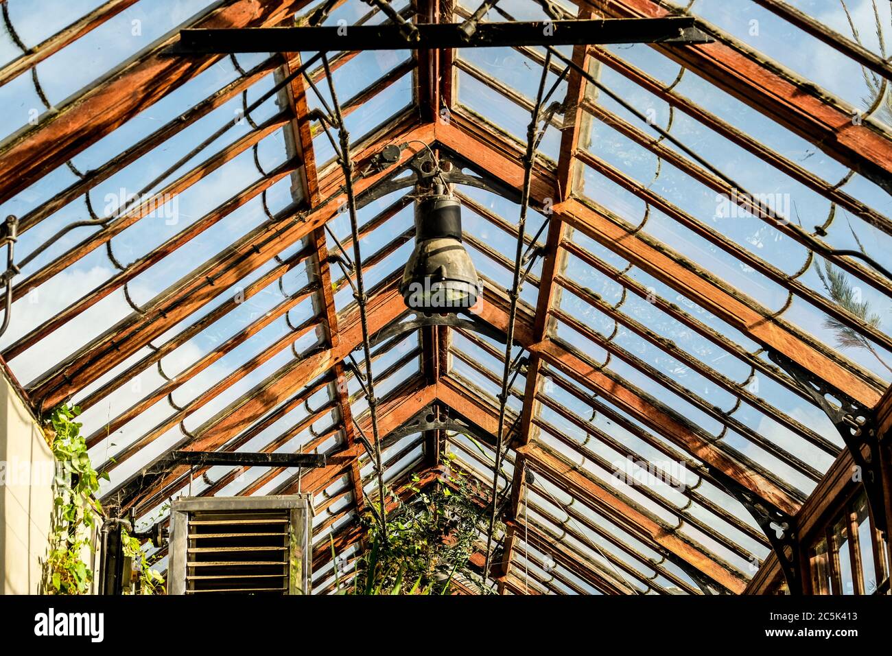 Detailed view of a large green house showing the large variety of sub ...