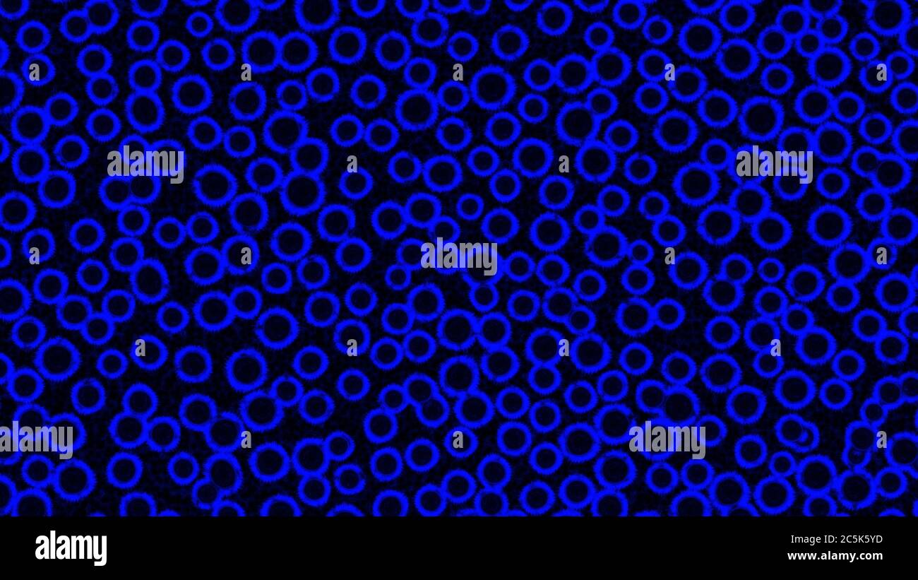 blue bacterial virus under microscope, abstract background Stock Photo ...