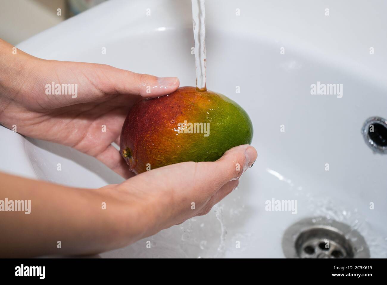 hands and red-green mango under a stream of water. Girl washes mangoes ...