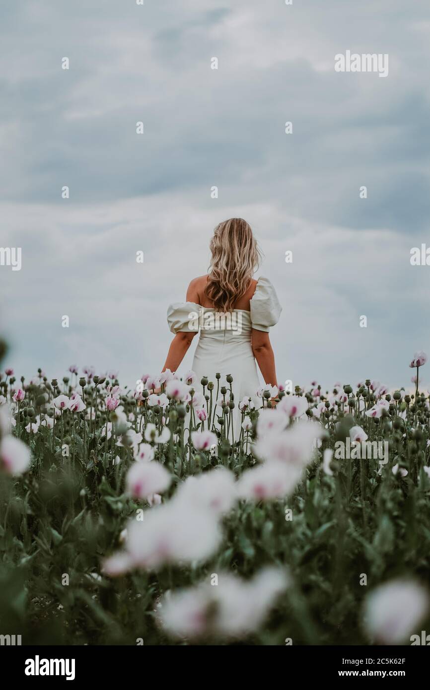 Beautiful blonde woman in pink opium poppy field Stock Photo - Alamy