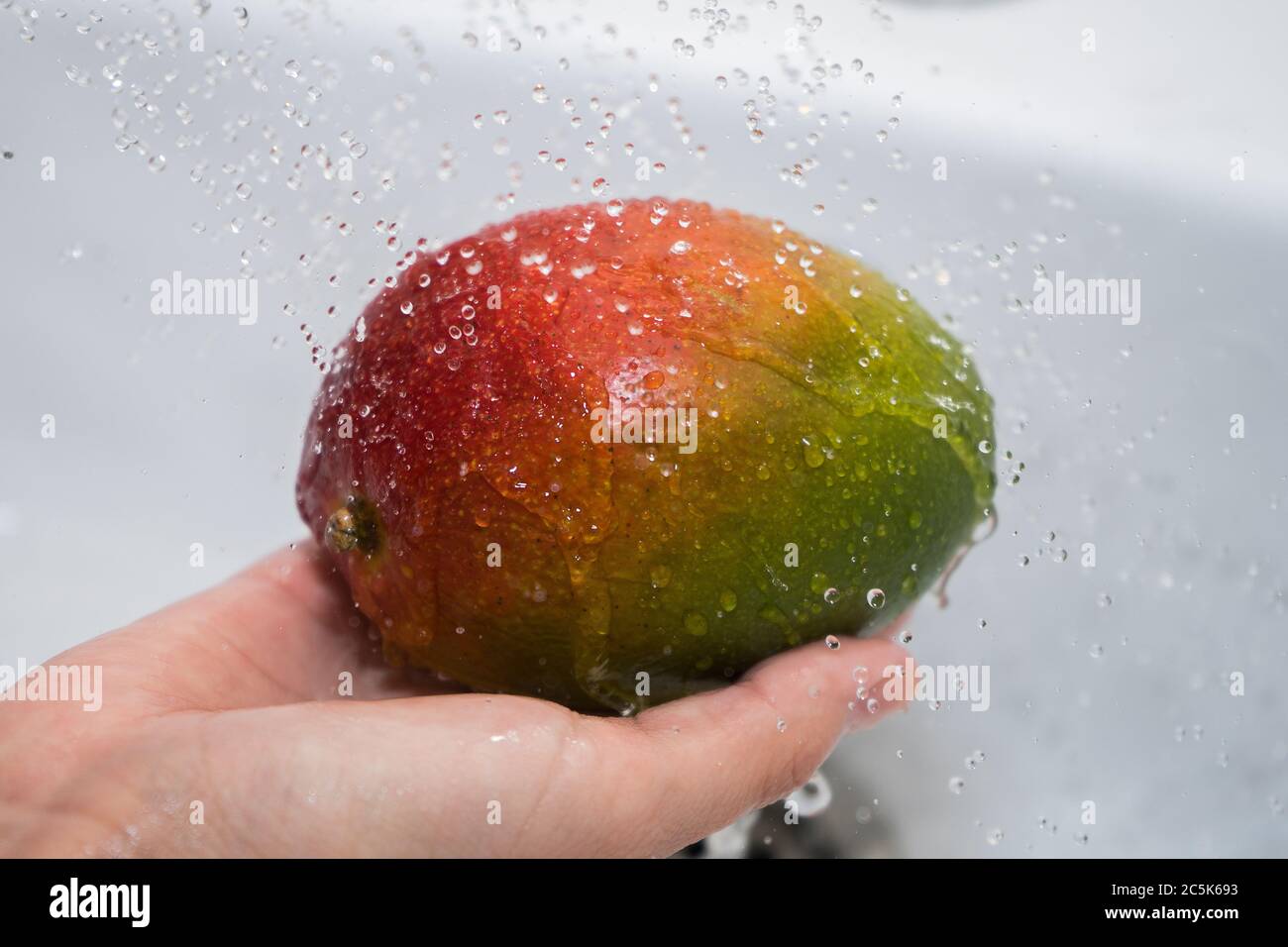 Mango and spray of water. Hands and mango under a stream of water Stock ...