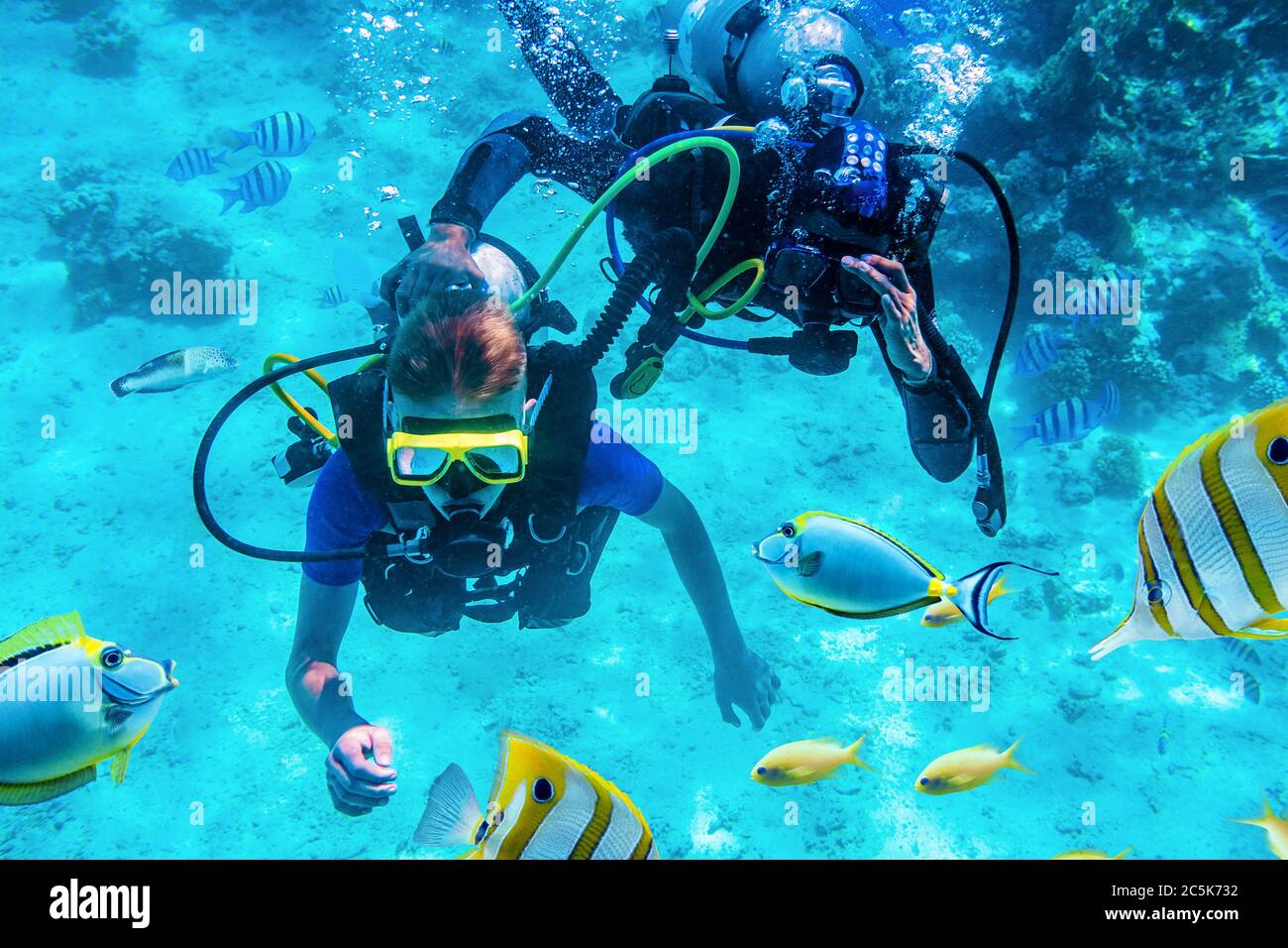 divers training underwater near coral reefs Stock Photo - Alamy