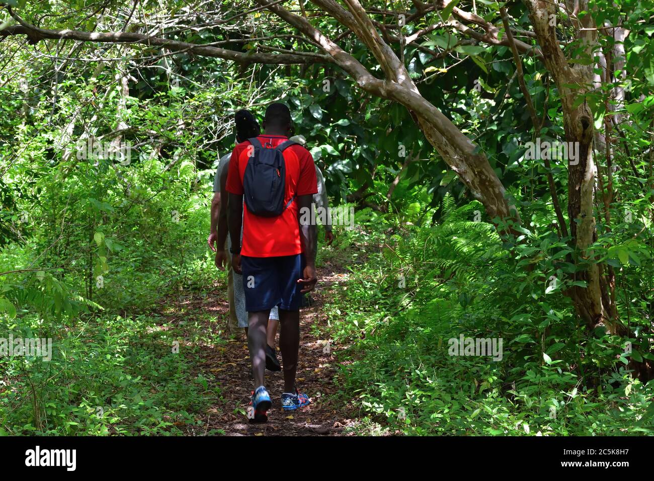 Zanzibar, Tanzania - October 6, 2019:Tourists visit the Zanzibar Jozani ...