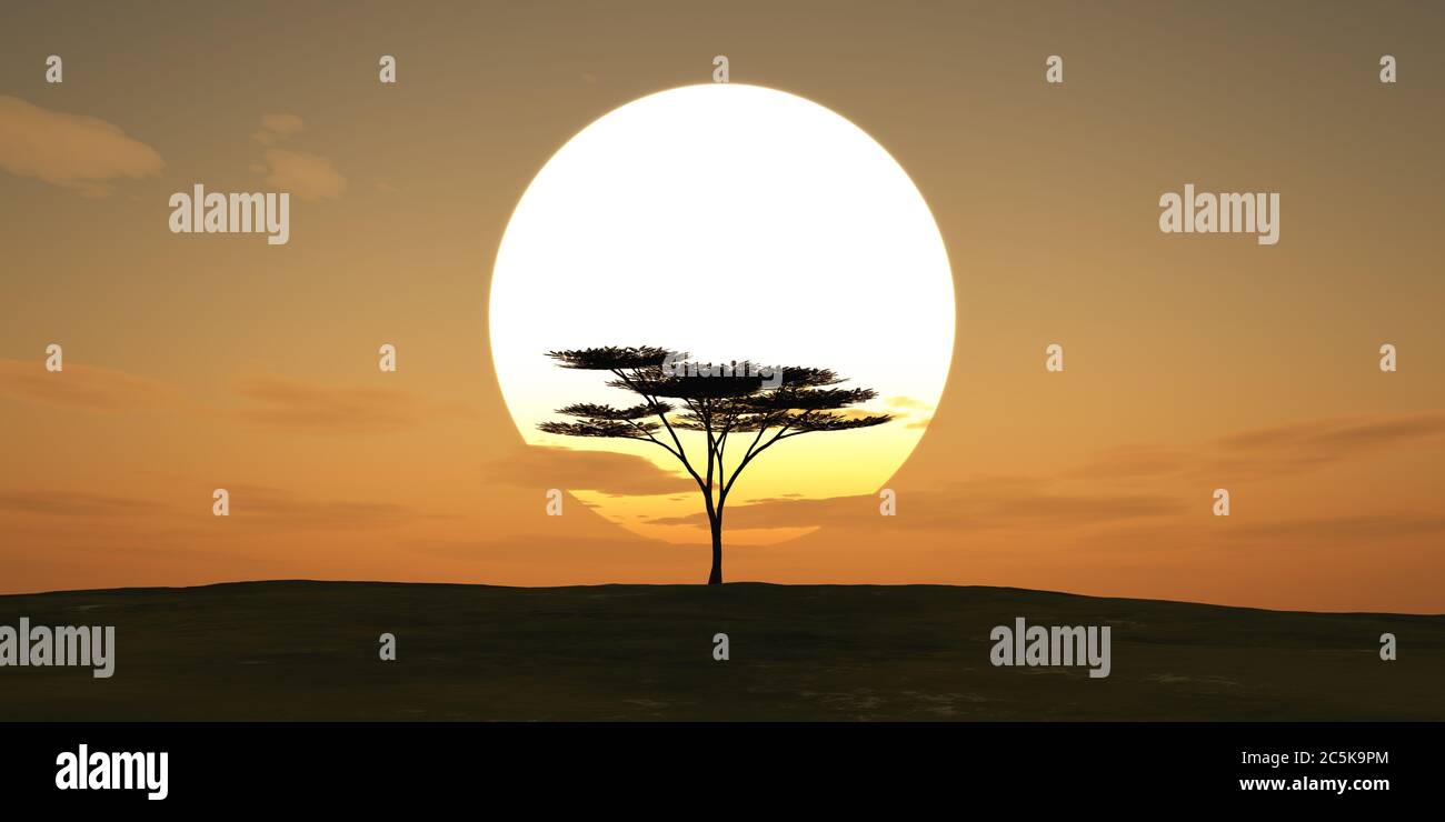 big sun sunset tree landscape, 3d illustrations Stock Photo - Alamy